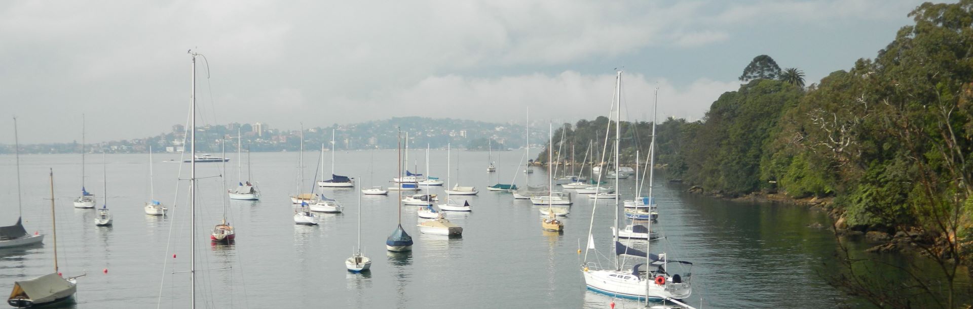 North Shore Harbourside Walk - The Walking Volunteers