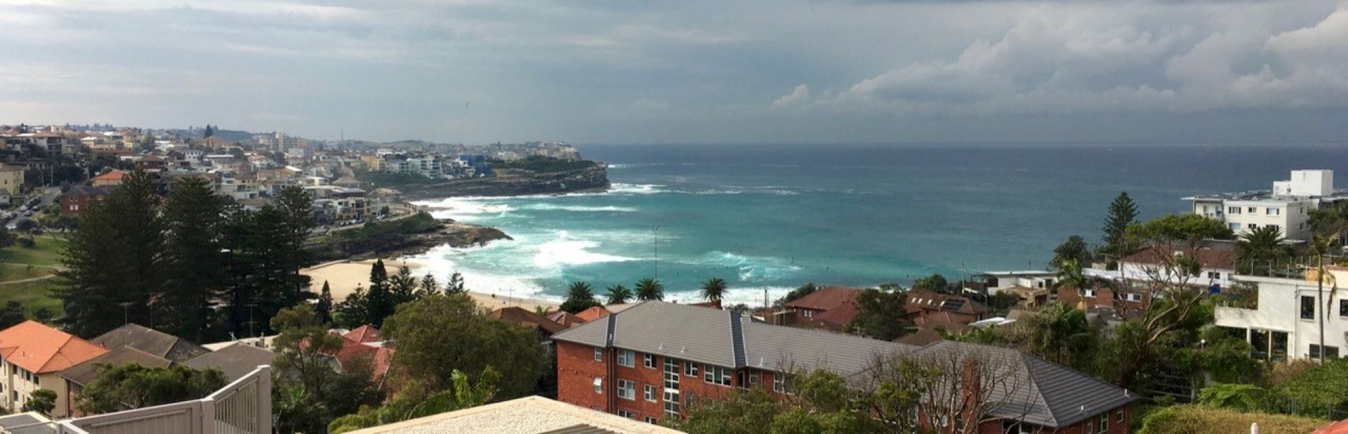 Bronte-Tamarama Gullies Circuit - The Walking Volunteers